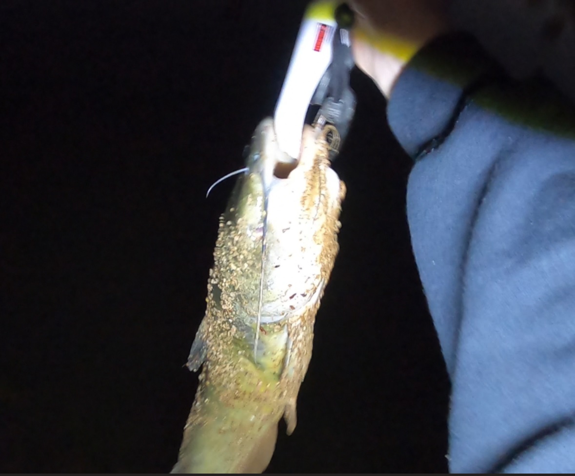 New personal record! - Eric's SharedPoints